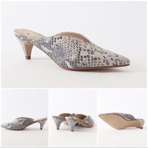 Delicious | Shoes | Radar Beige Python Heel Mule | Poshmark